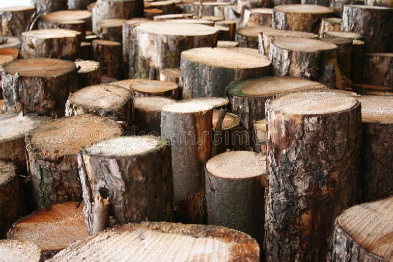 Logs of wood stock image. Image of trunk, forest, forestry - 887129