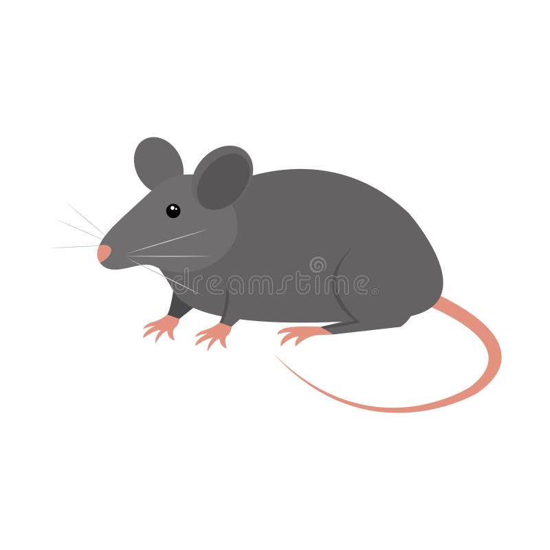 Lokalisierte Ikone Der Ratte Tier Vektor Abbildung - Illustration von ...