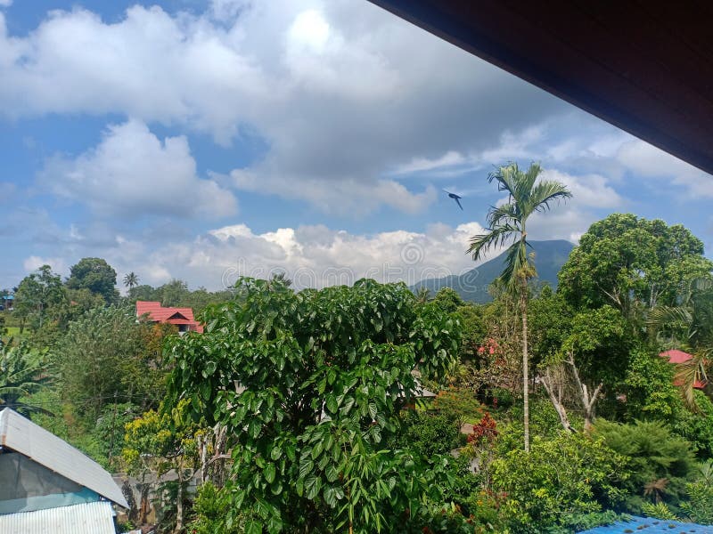 Gunung lokon editorial stock image. Image of view, tomohon - 202602819