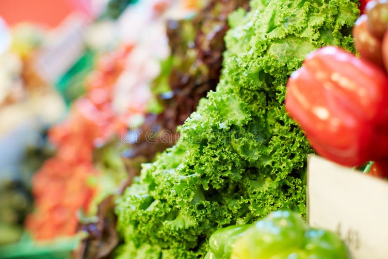 Lollo bionda lettuce stock image. Image of healthy, vegetables - 18804715