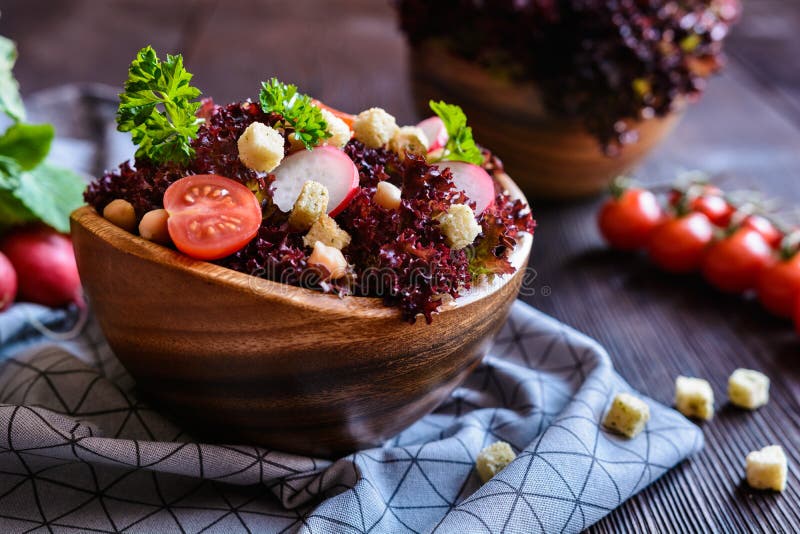 Lollo Rosso Salad with Chickpeas, Tomato, Radish and Croutons Stock ...