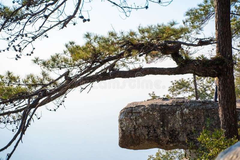 Lom Sak Clift Sunset Viewpoint at Phukradueng Stock Photo - Image of ...