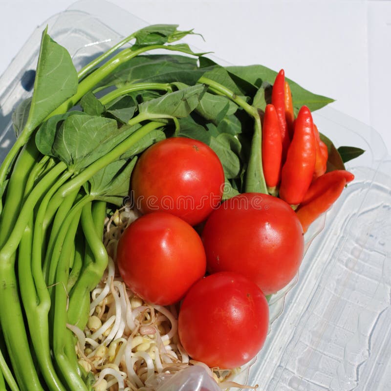 Lombok S Typical Plecing Vegetable Plastic Box Package is Ready for ...