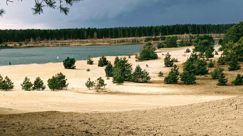 Lommelse Sahara in Belgium. & X27;o Beach Sandpit Stock Image - Image ...