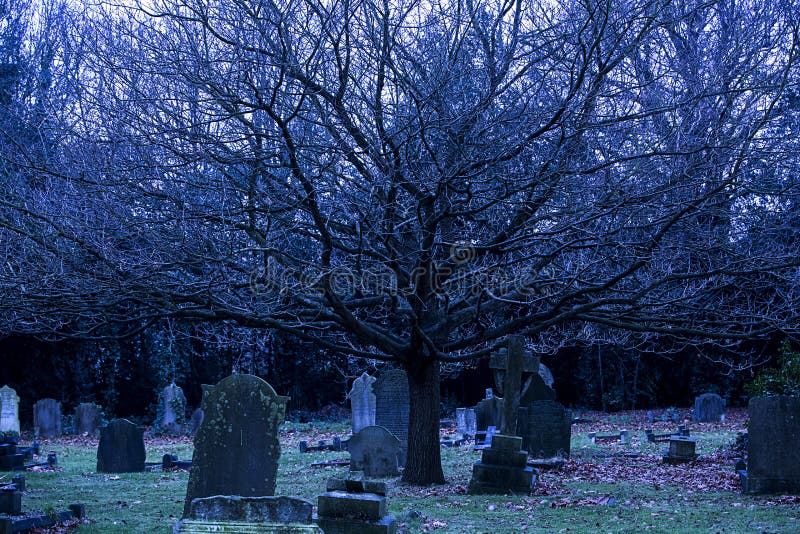 London cemetery stock image. Image of dead, moody, dark - 83496817