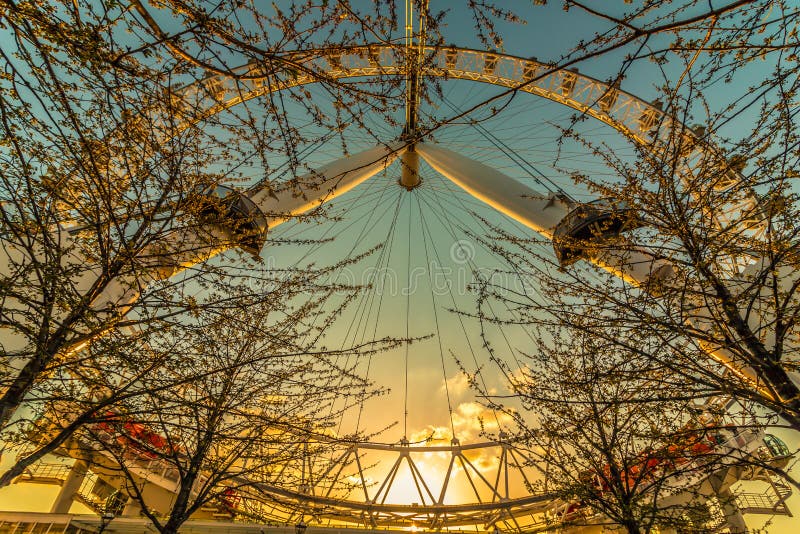 The London Eye, England editorial photography. Image of tourism - 10589587