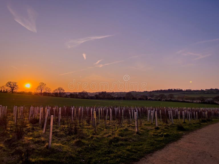 Sunset in the Enfield Countryside Stock Image - Image of enfield ...
