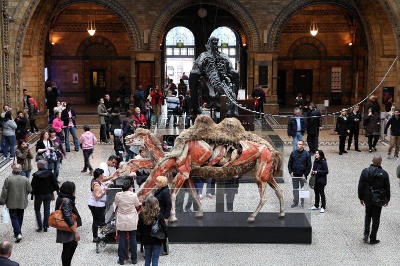 British Museum Library editorial image. Image of ceiling - 1078385