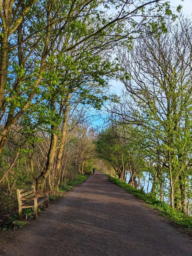 Two People Strolling on the Thames Path Under a Sunny Blue Sky ...