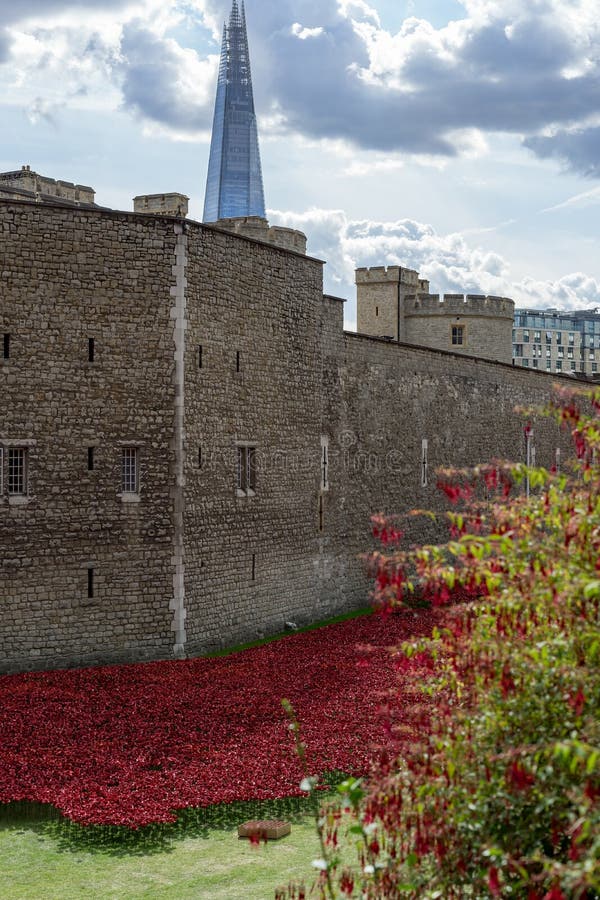 Poppy Display at the Tower of London on August 22, 2014 Editorial Image ...