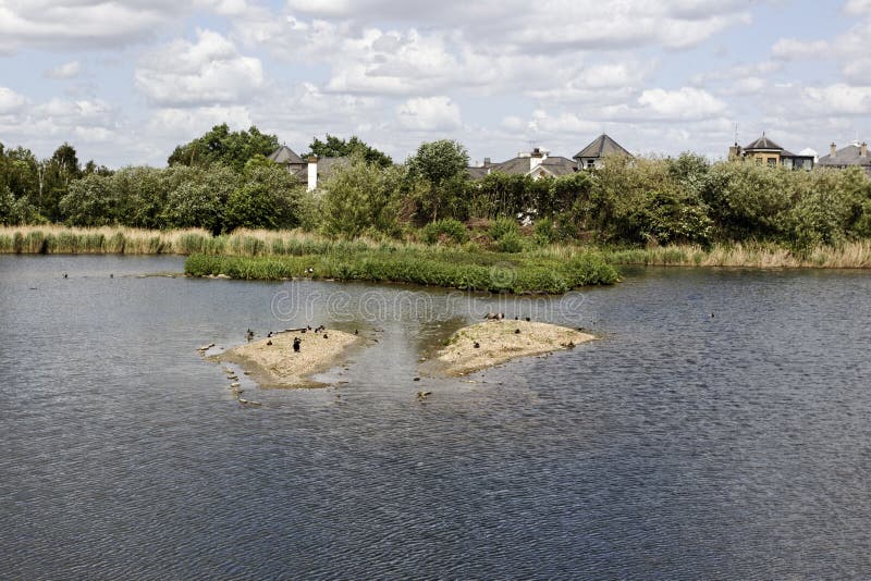 London Wetland Centre stock photo. Image of british, watching - 32163654