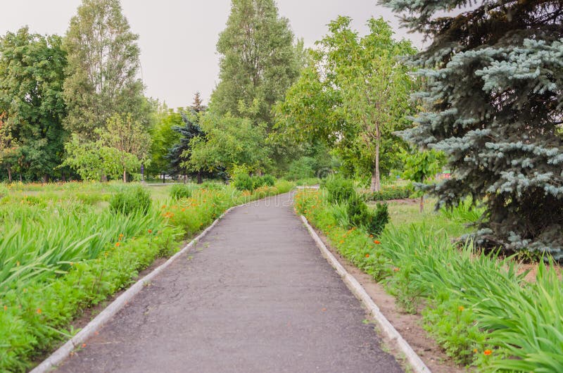 Lone Asphalt Path in a Children`s Park Stock Image - Image of color ...