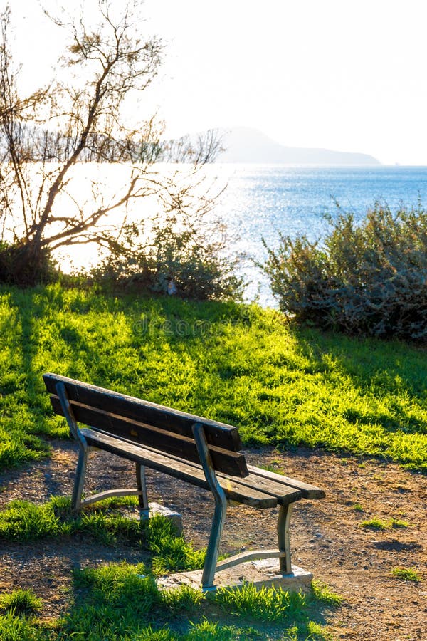Lone Bench on a Cliff Facing the Sea Stock Photo - Image of coast ...