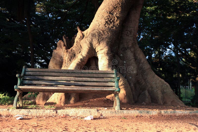 Lone bench stock image. Image of nature, scenery, forest - 30417713