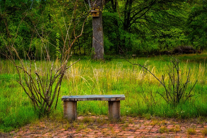 Single Bench in the Prairie Stock Image - Image of landscape ...