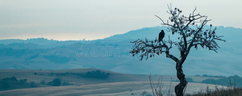 Lone Tree in Desolate Industrial Wasteland Under Stormy Sky ...