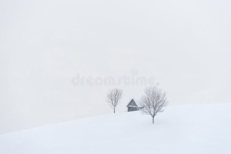 Lone cabin in winter stock photo. Image of minimalistic - 260659138