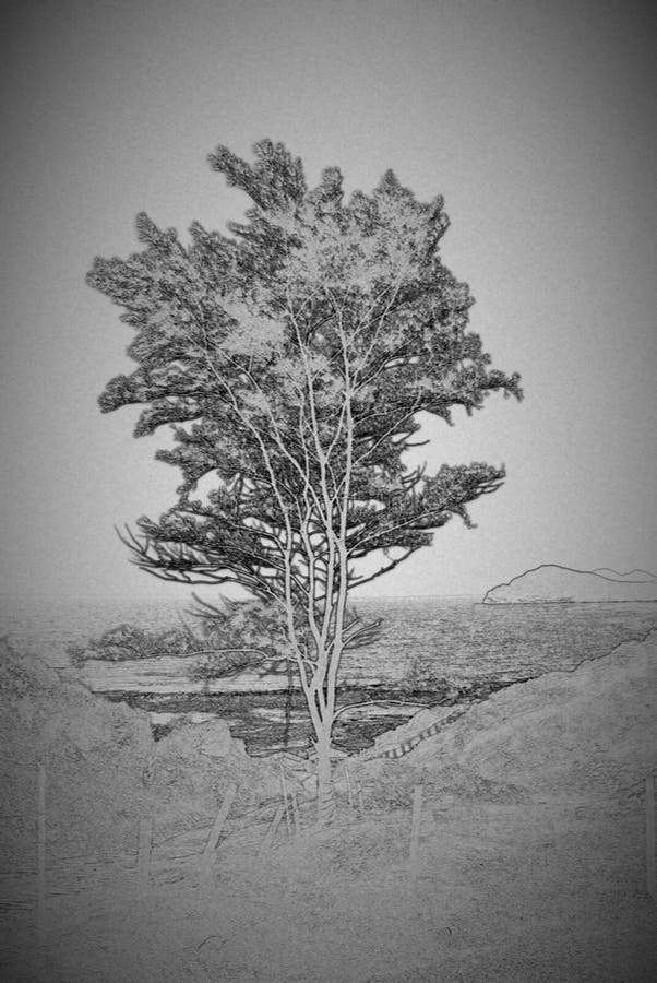 Windswept Tree Stock Illustrations – 384 Windswept Tree Stock ...