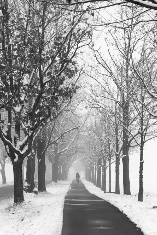 Lone Cyclist on a Path on a Country Road in Winter Stock Photo - Image ...