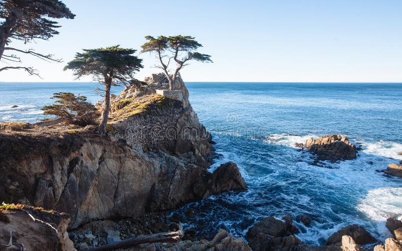 Lone Cypress Tree in 17 Mile Drive Editorial Photo - Image of mile ...