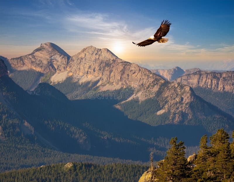 A Lone Eagle Soaring Above the Rugged American Mountainscape in the ...