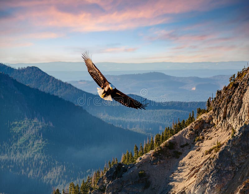 A Lone Eagle Soaring Above the Rugged American Mountainscape in the ...
