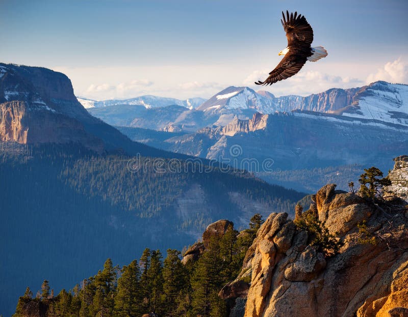 A Lone Eagle Soaring Above the Rugged American Mountainscape in the ...