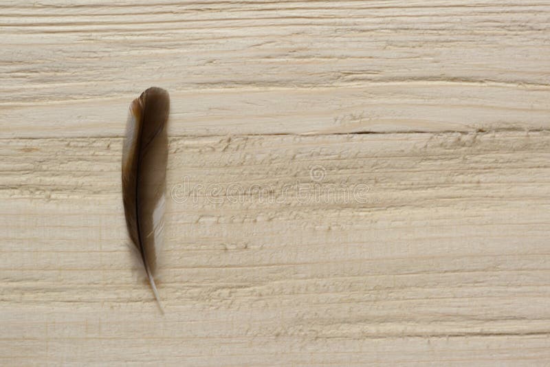 The Lone Feather of a Dove on Old Wood Stock Photo - Image of design ...