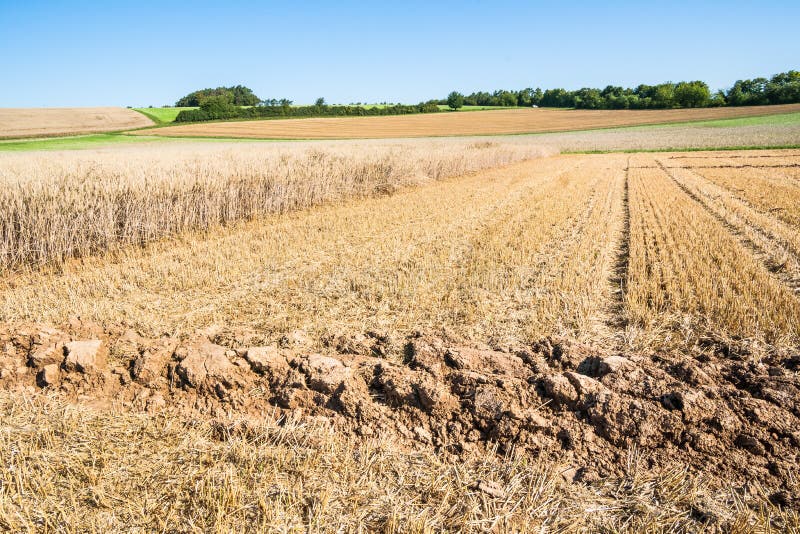 Lone furrow stock image. Image of cultiavtion, cereal - 92789221