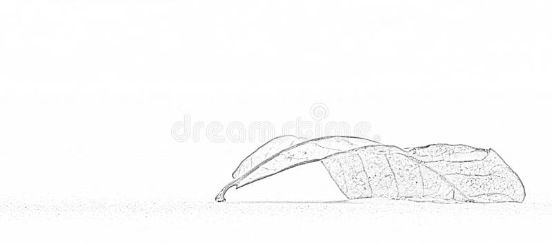 Underlying Sheet Stock Illustrations – 28 Underlying Sheet Stock ...