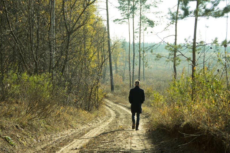 Lone Man Walking Along an Empty Road in the Forest Stock Photo - Image ...