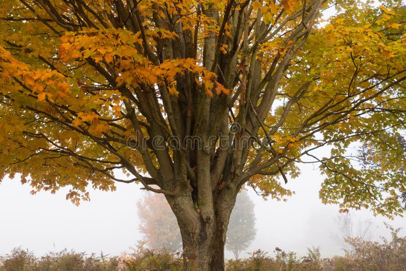 Barn and Fence stock image. Image of vermont, barn, windows - 14828741