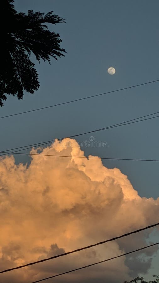 The Lone Moon stock photo. Image of lone, scenic, dark - 256313550