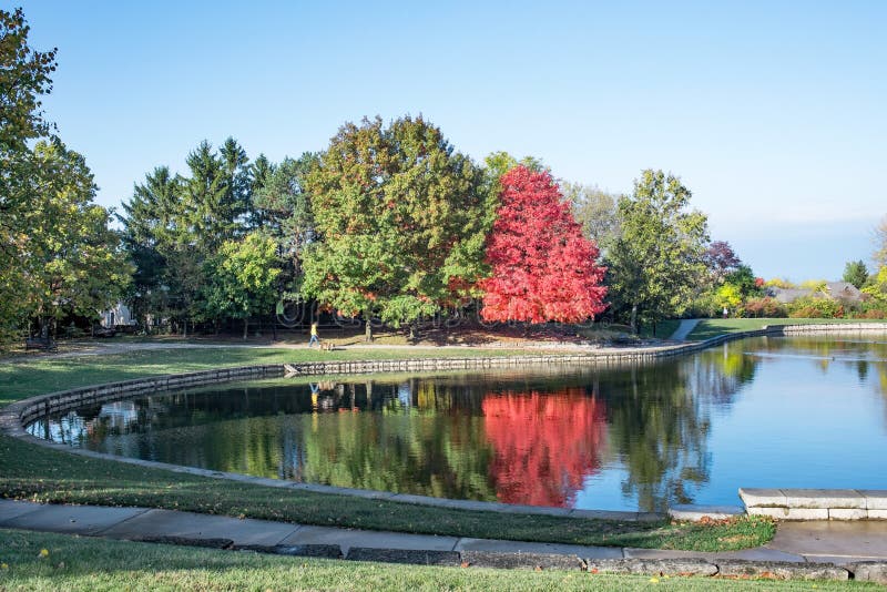 Urban Pond with Red Maple Tree Reflection Stock Image - Image of season ...