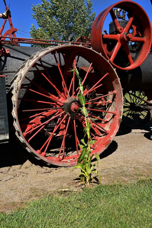 Corn Stalk Growing Alongside a Steam Engine Stock Photo - Image of ...