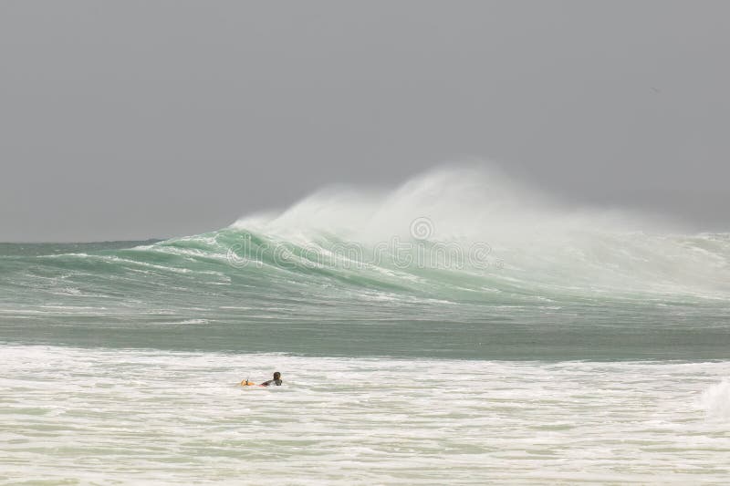 A Lone Surfer Dwarfed by a Cyclone Generated and Wind Swept Wave. Stock ...