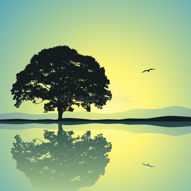Tree Water Reflection Stock Illustrations – 36,647 Tree Water ...
