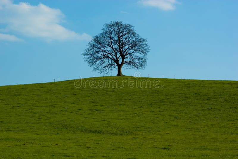 Seattle stock image. Image of hills, famous, banks, center - 8902175