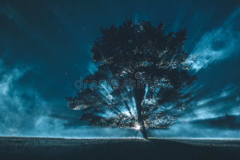 Lone Tree Against Dramatic Sky Stock Image - Image of alone, lone: 85478749