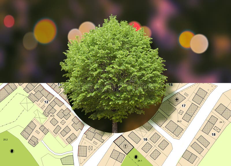 Lone Tree Against an Fictional General Urban Plan with Urban ...