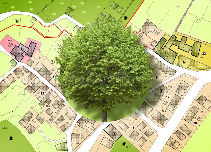 Lone Tree Against an Imaginary General Urban Plan with Urban ...