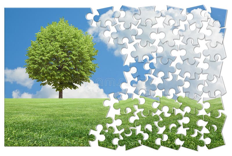 Lone Tree in a Agricultural Field - Environmental Conservation Concept ...