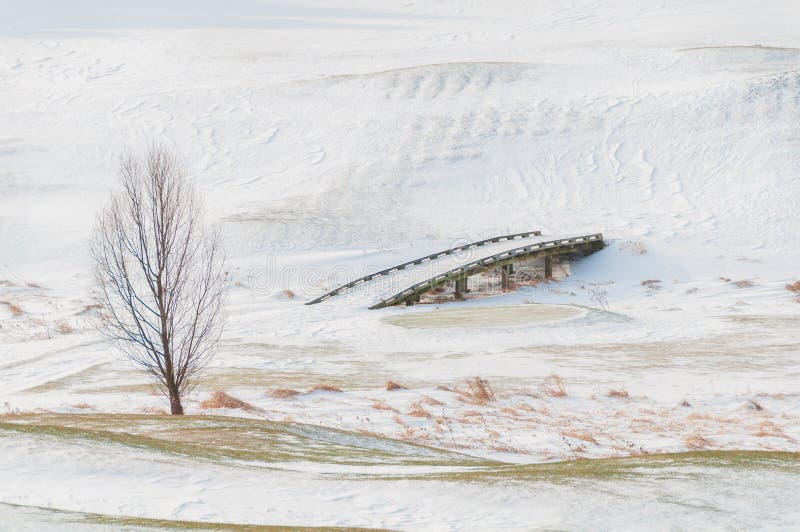 Lone Tree in a Barren Snowy Landscape Stock Photo - Image of frozen ...