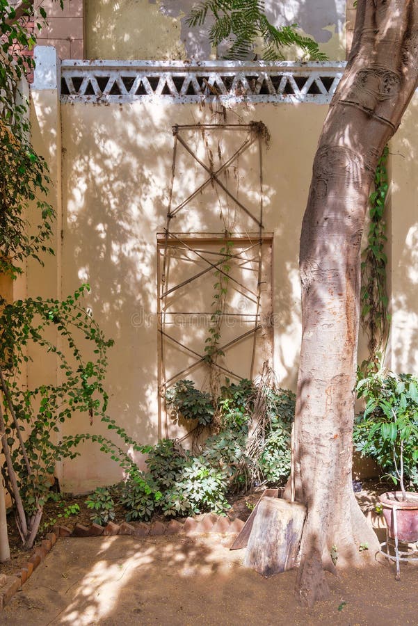 A Lone Tree Casts Its Shadow on a Weathered Stone Wall, Creating a ...
