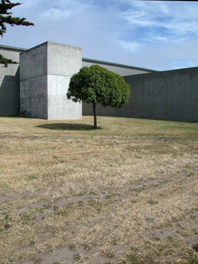 Lone Tree & Concrete Building Stock Image - Image of alienation ...