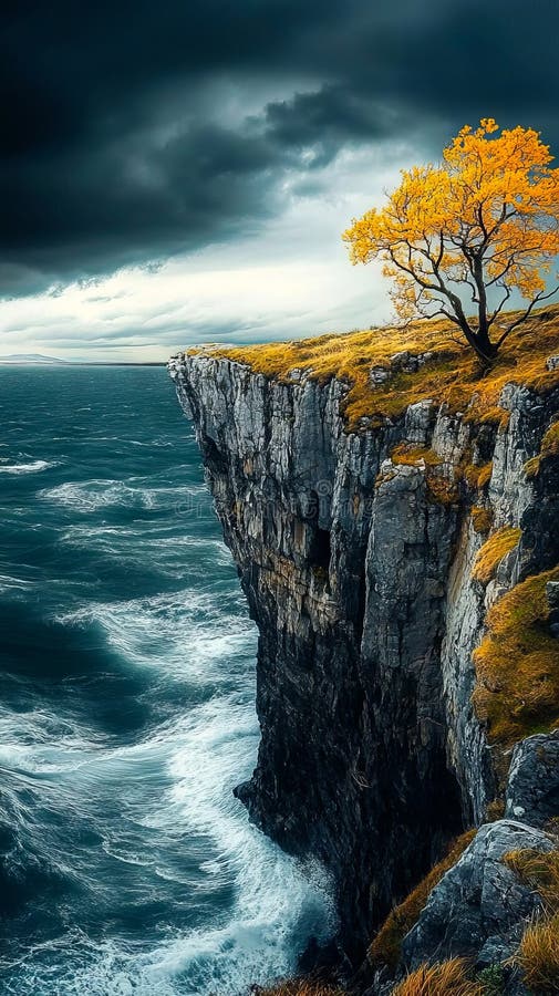 A Lone Tree on the Edge of a Cliff Overlooking the Ocean Stock Image - Image of right, standing ...