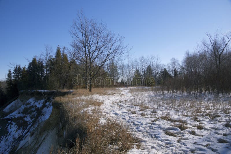 A Lone Tree at the Edge of a Cliff at the Snow-covered National Park ...