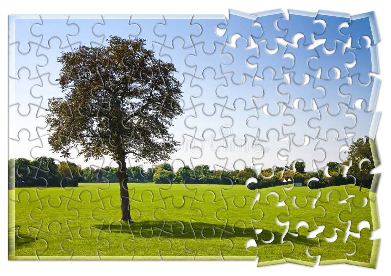 Lone Tree in a Green Meadow - Environmental Conservation Concept in ...