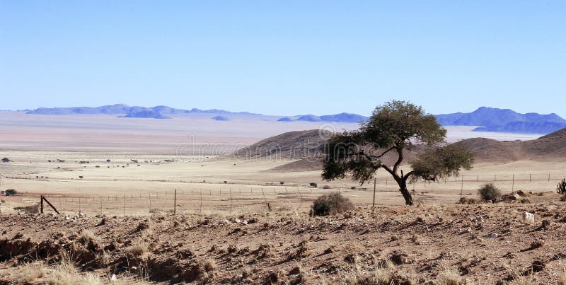 Dry harsh desert scene stock photo. Image of rocks, arid - 8384434