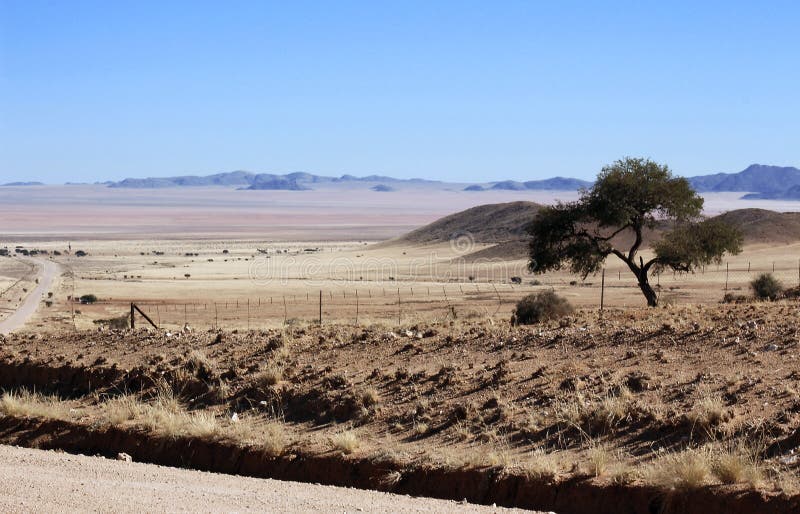 Dry harsh desert scene stock photo. Image of rocks, arid - 8384434